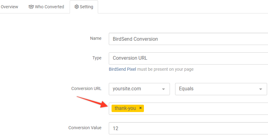 How to manually SET UP a conversion