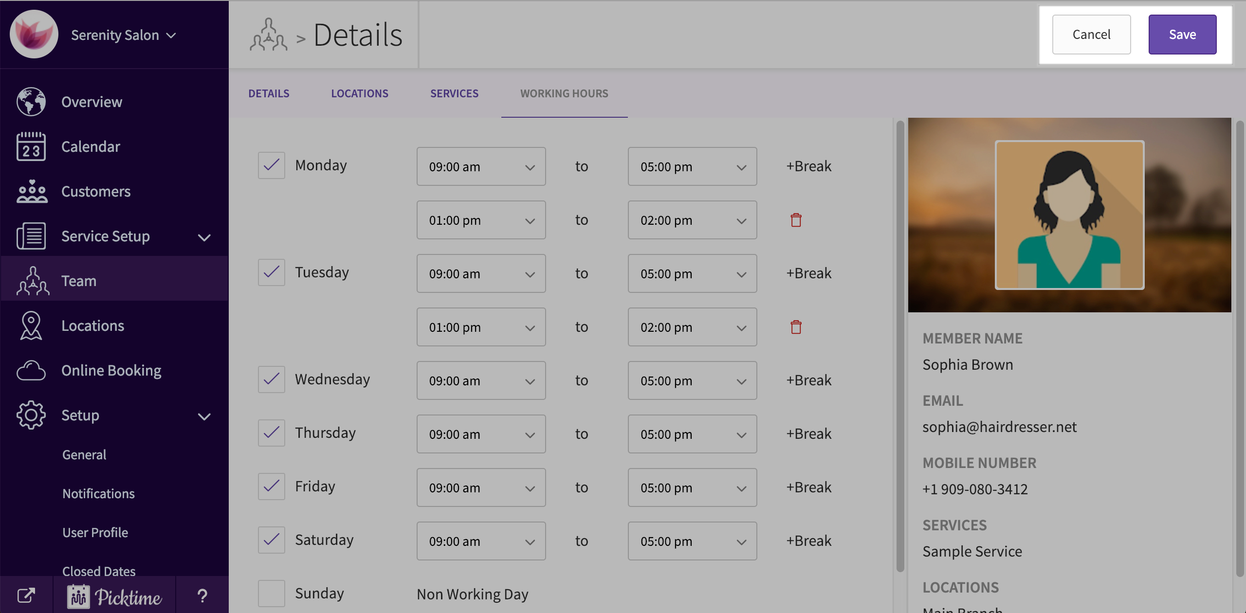 How to add working hours and breaks to your Picktime account?